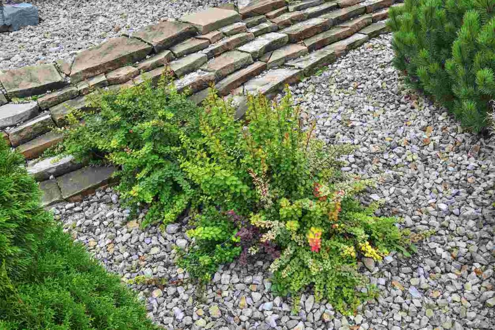 Decorative Landscape Stone Brings Beauty to Your Backyard - Southwest ...