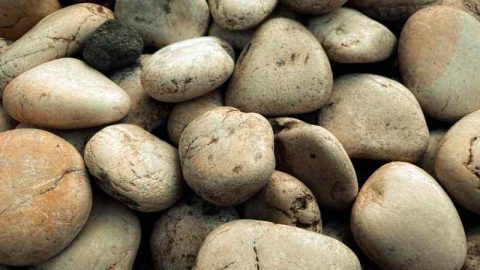 Round Rock: The Secret to Stunning Landscapes & Low-Maintenance Curb ...